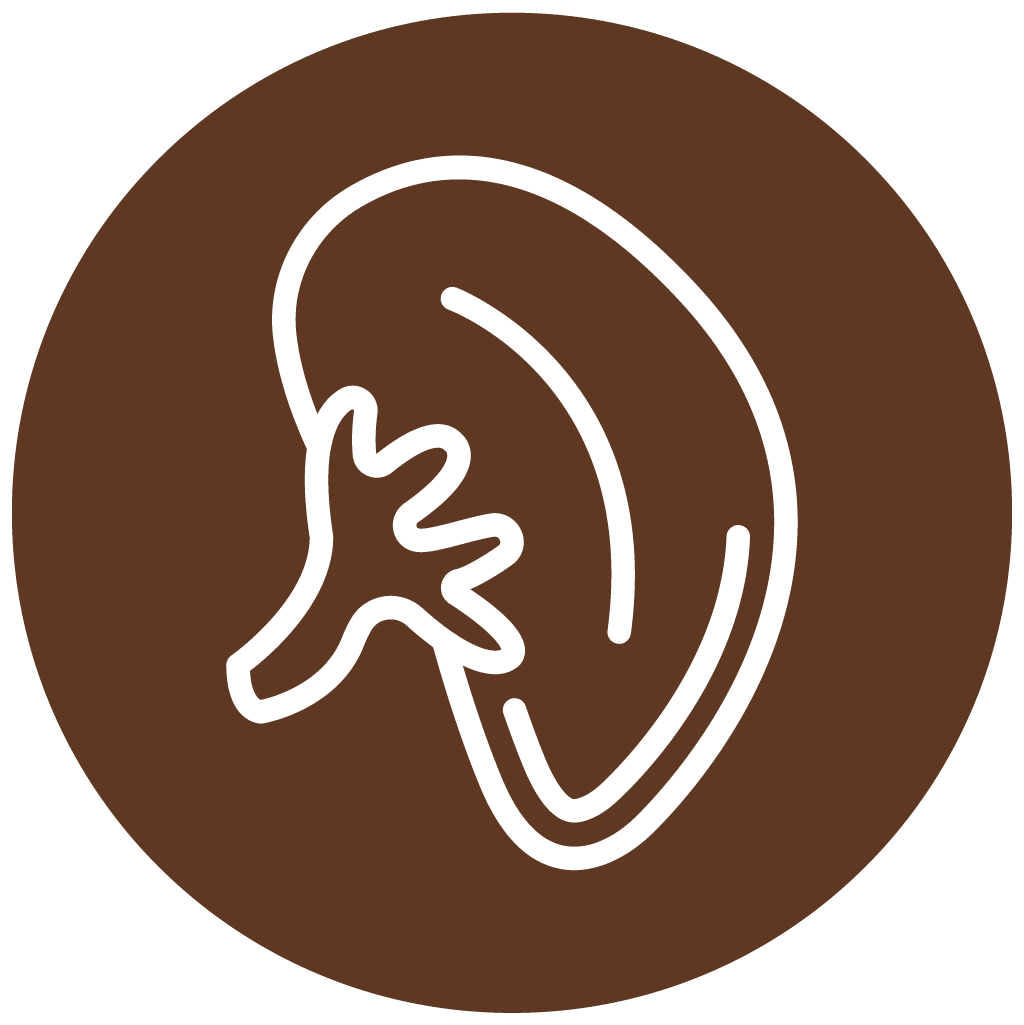 Barras de proteína para diálisis | Bajas en fósforo y potasio